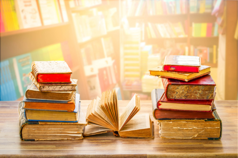 The Gilgandra Region - Visit, stay and explore